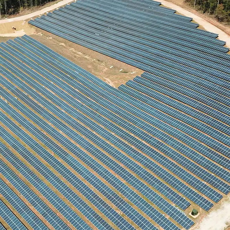 Turnip Seed Solar Farm | Velo Solar
